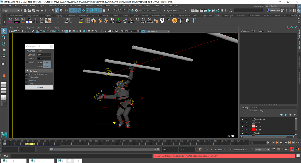 Hanging setup - Help - Ragdoll Forums